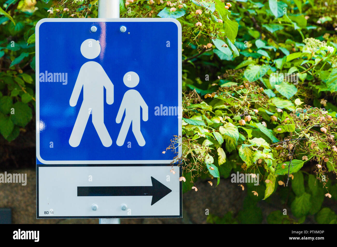 Pedestrians road sign hi-res stock photography and images - Alamy