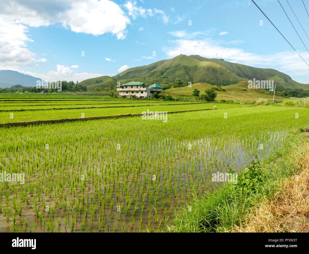 Beautiful landscape view in the Philippines Stock Photo - Alamy