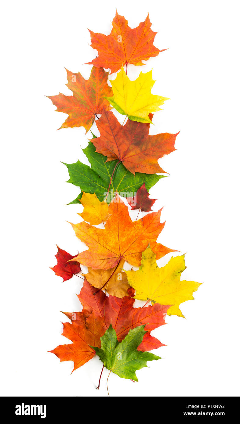 Autumn composition gift leaves Cut Out Stock Images & Pictures - Alamy