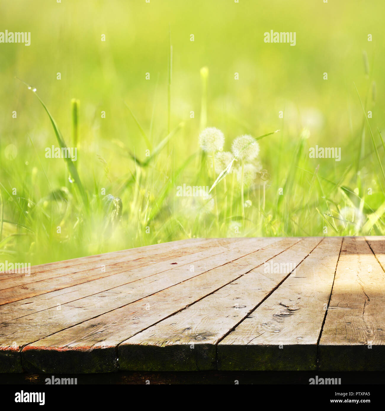 Spring background ready for your display montages Stock Photo - Alamy