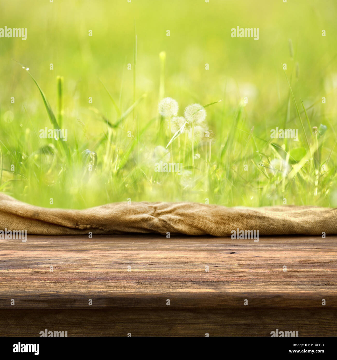 Spring background ready for your display montages Stock Photo - Alamy