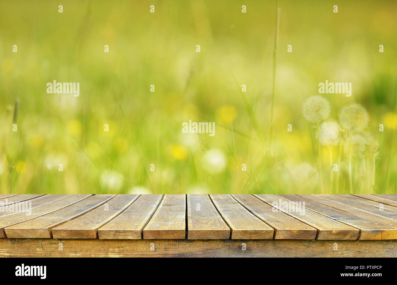 Spring background ready for your display montages Stock Photo - Alamy