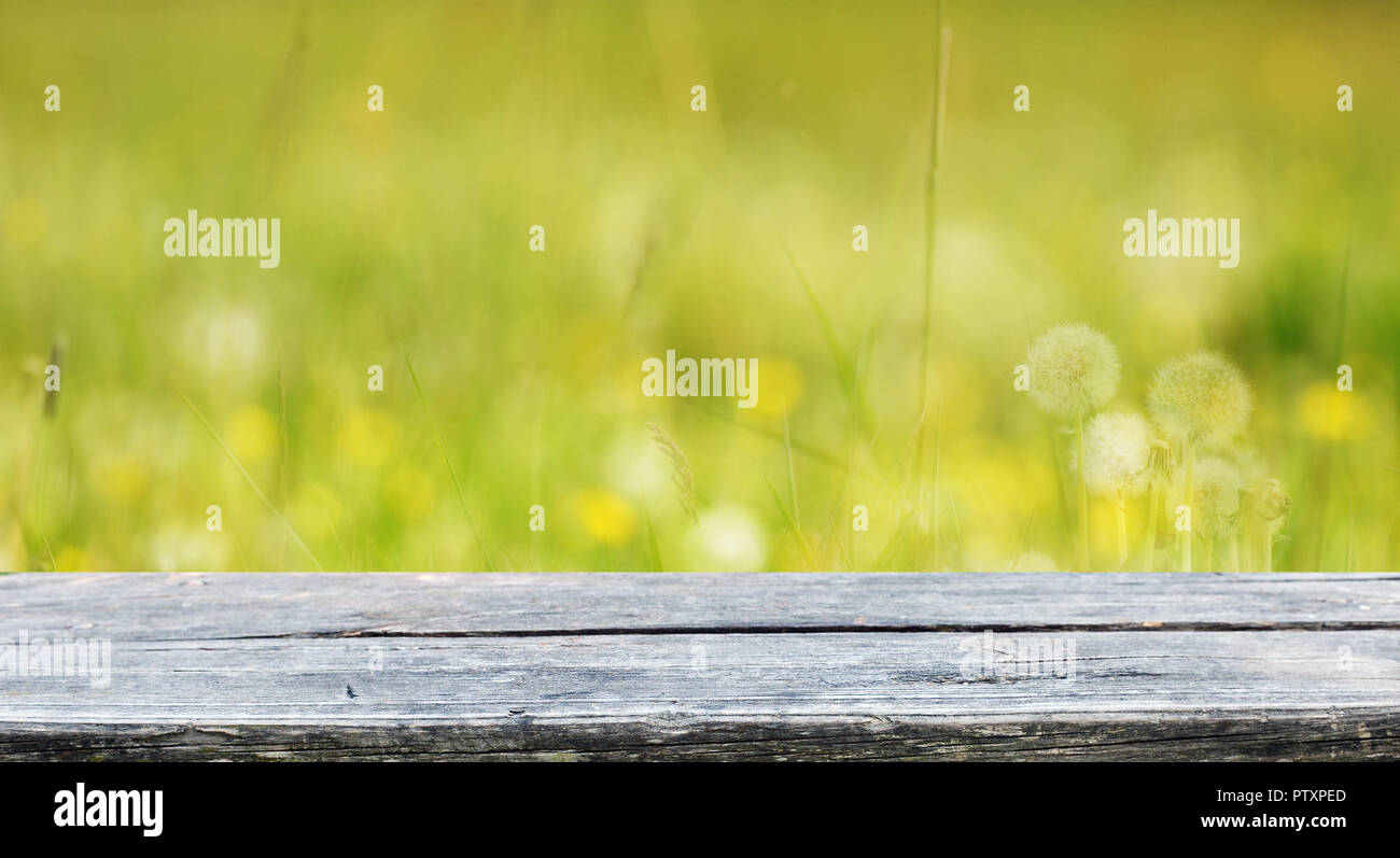 Spring background ready for your display montages Stock Photo - Alamy