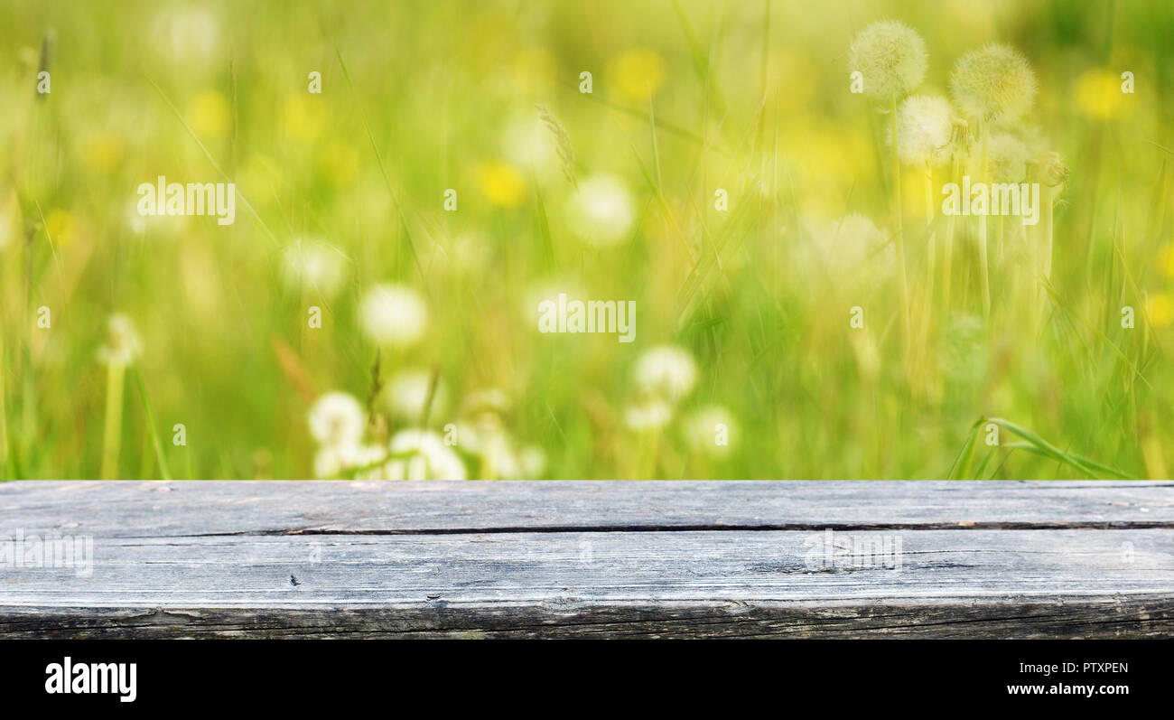 Spring background ready for your display montages Stock Photo - Alamy