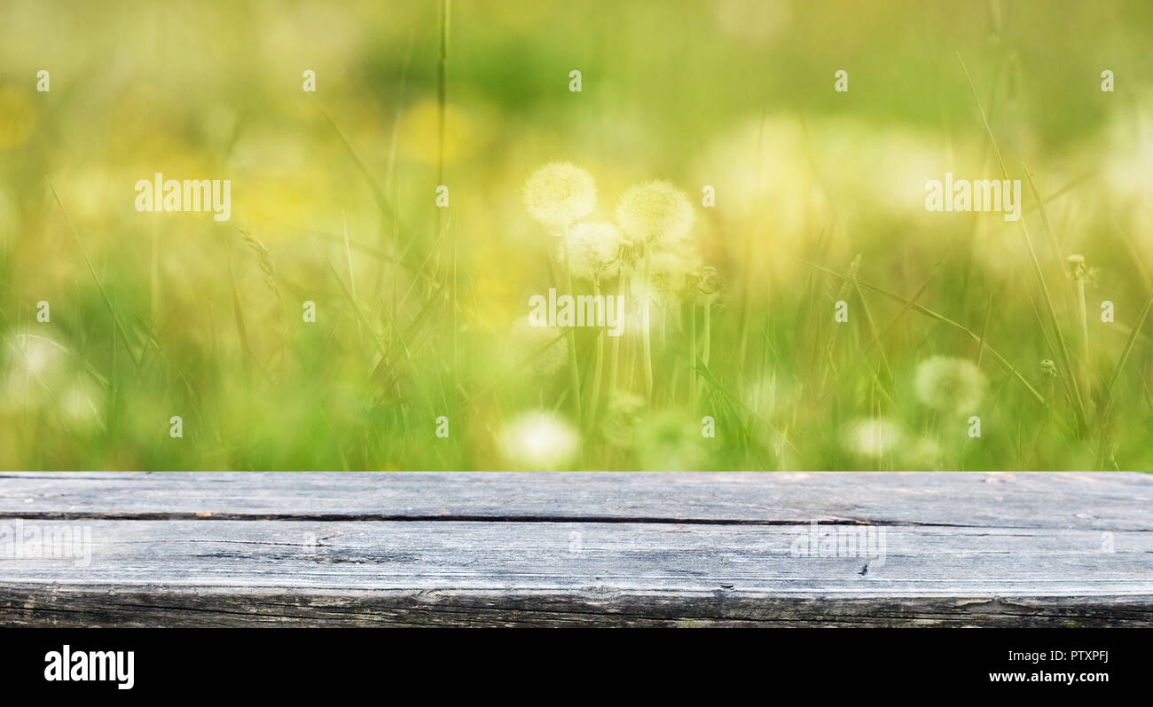 Spring background ready for your display montages Stock Photo - Alamy