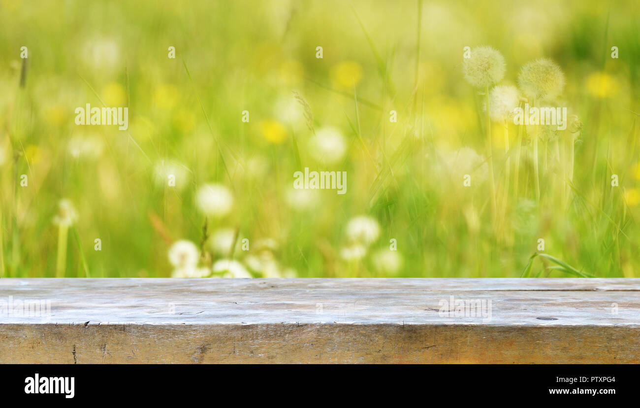 Spring background ready for your display montages Stock Photo - Alamy