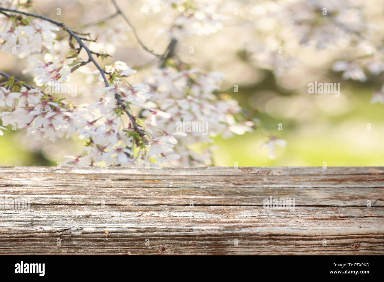 Spring background ready for your display montages Stock Photo - Alamy