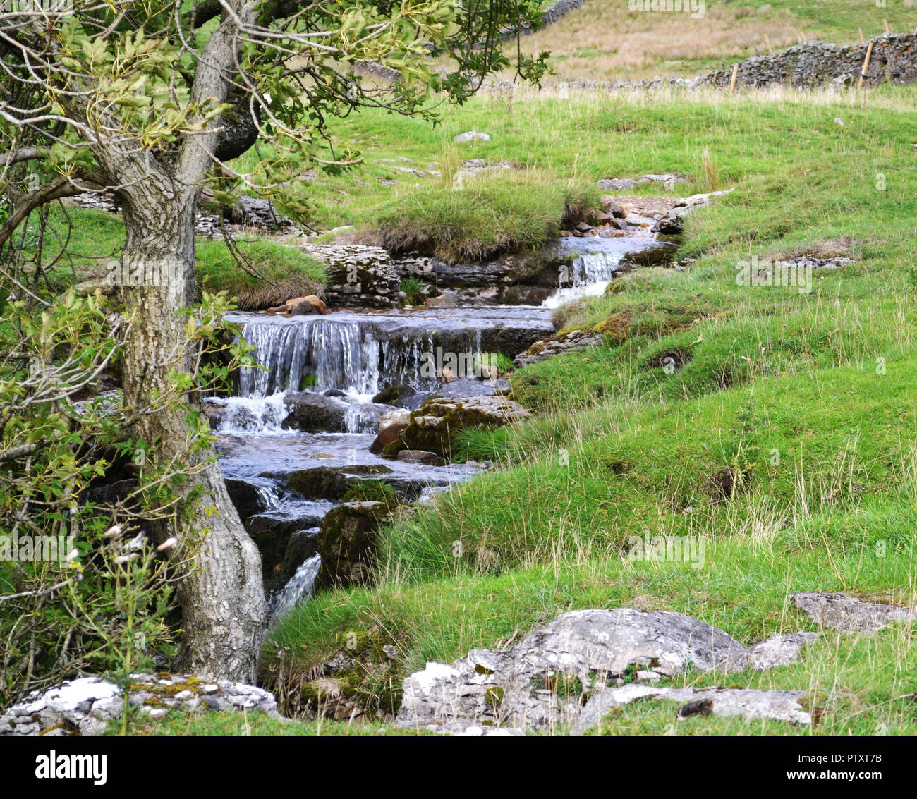 Paysage de dales hi-res stock photography and images - Alamy