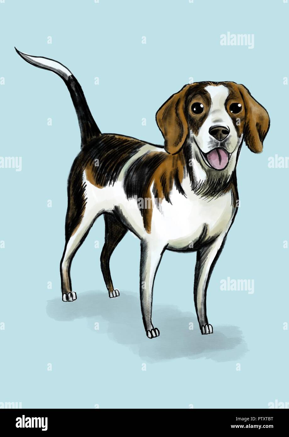 Beagle sketch hi-res stock photography and images - Alamy