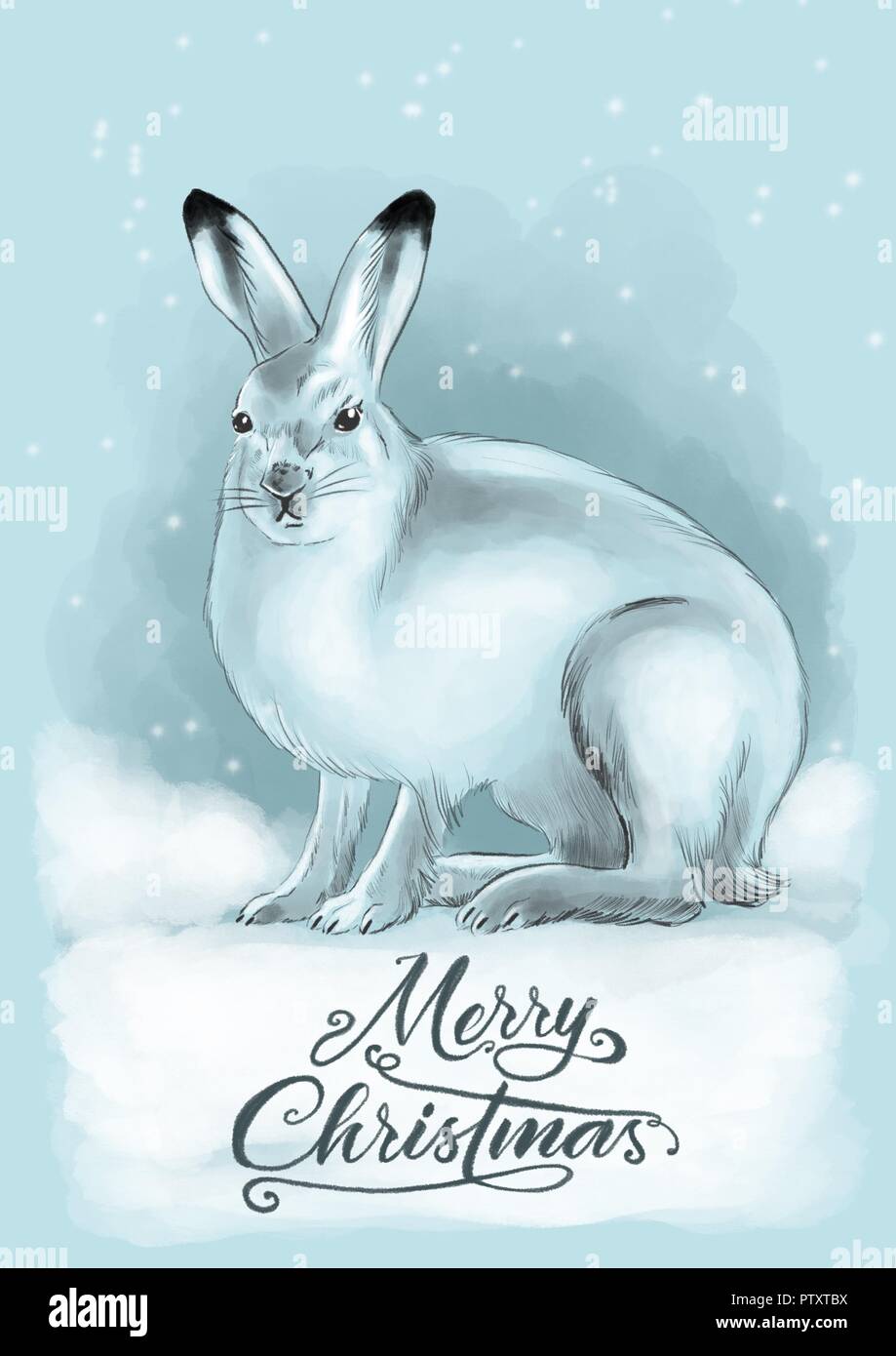 Hare Drawing High Resolution Stock Photography and Images - Alamy