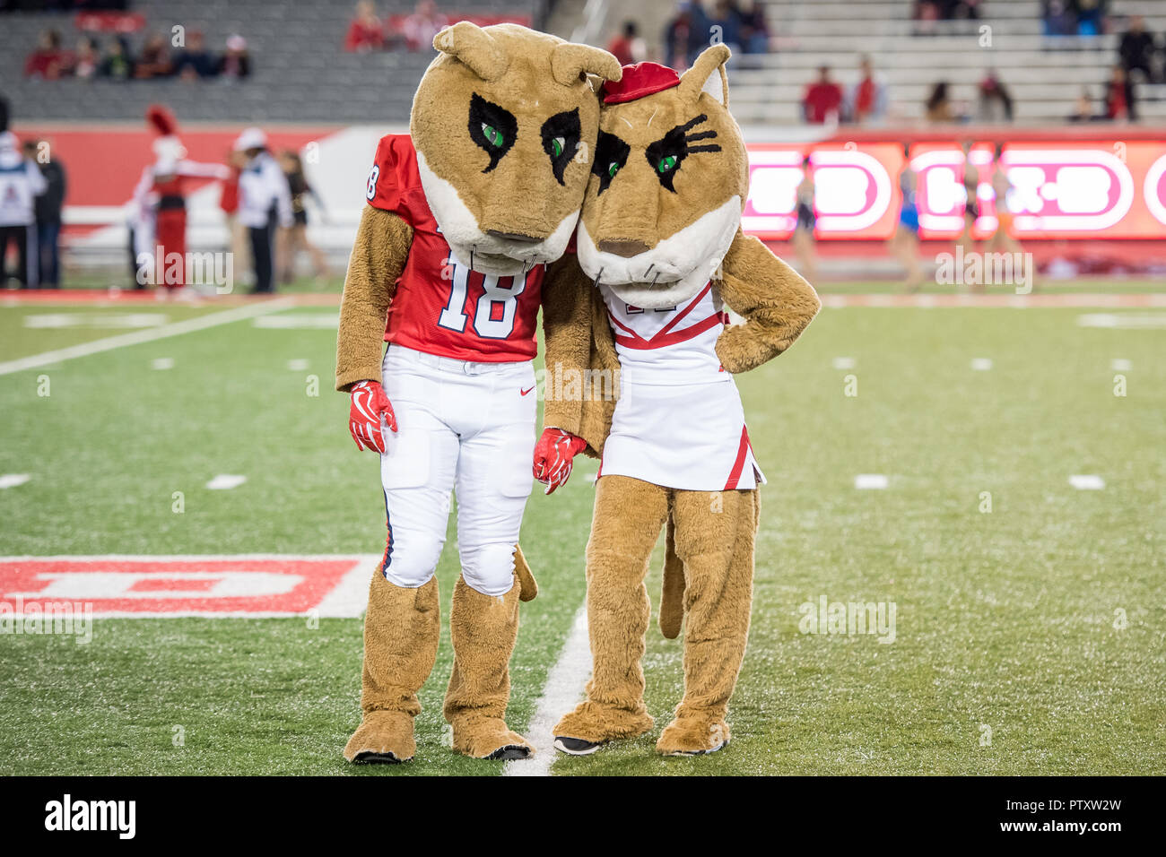 Houston, TX, USA. 10th Nov, 2018. Houston Cougars mascots Shasta and ...