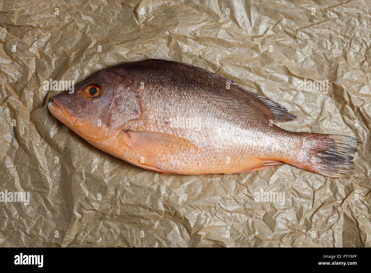 Fresh raw red snapper fish on brawn backing paper, cooking concept, top ...