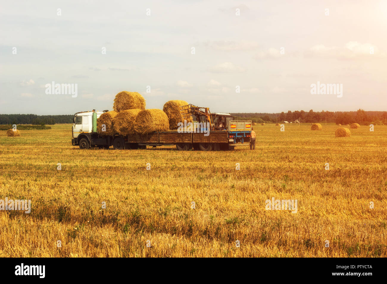 Farmer on a tractor picks haystack and loads bale of hay into the ...