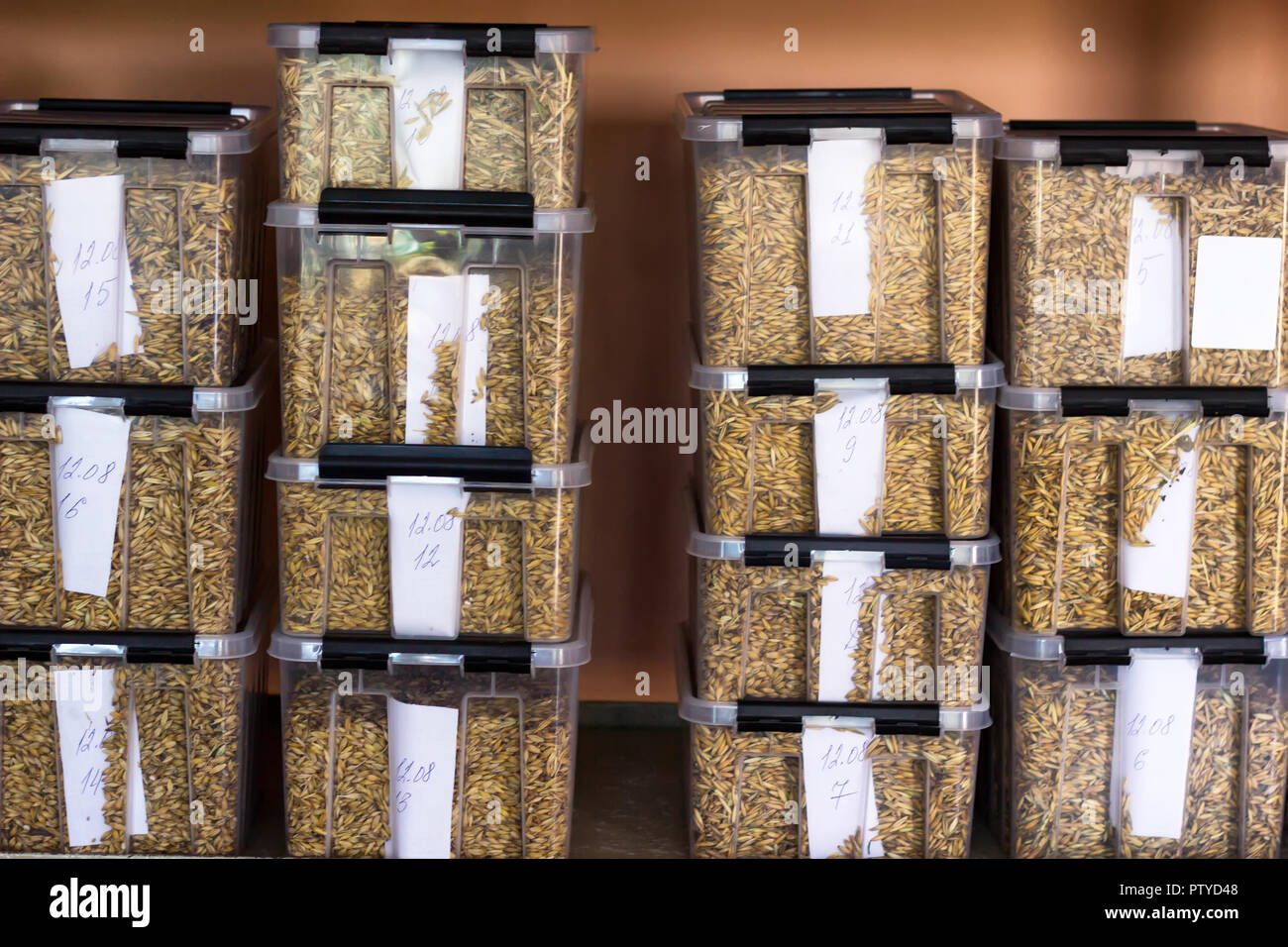 laboratory for the analysis and diagnosis of grain from the field, in ...