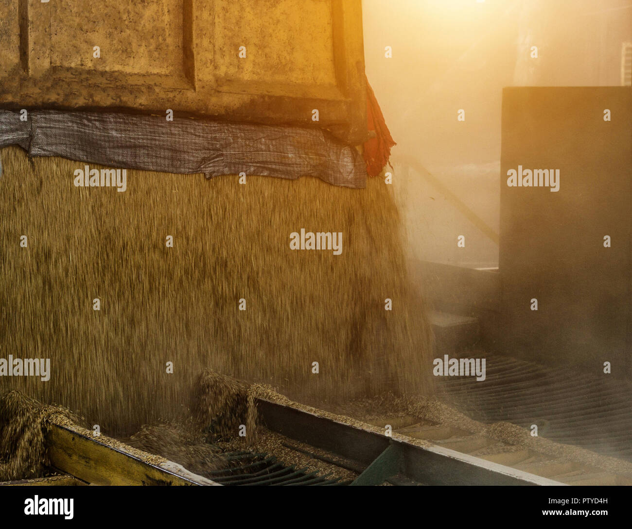 Body Repository High Resolution Stock Photography and Images - Alamy