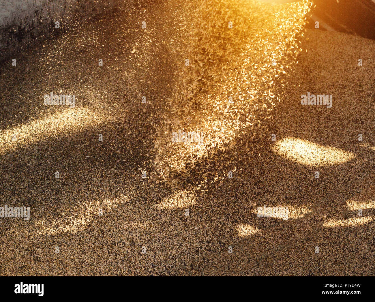 Loading grain lorry hi-res stock photography and images - Alamy