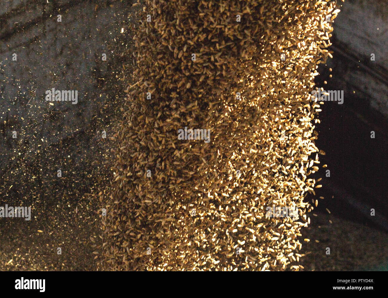 Loading grain lorry hi-res stock photography and images - Alamy