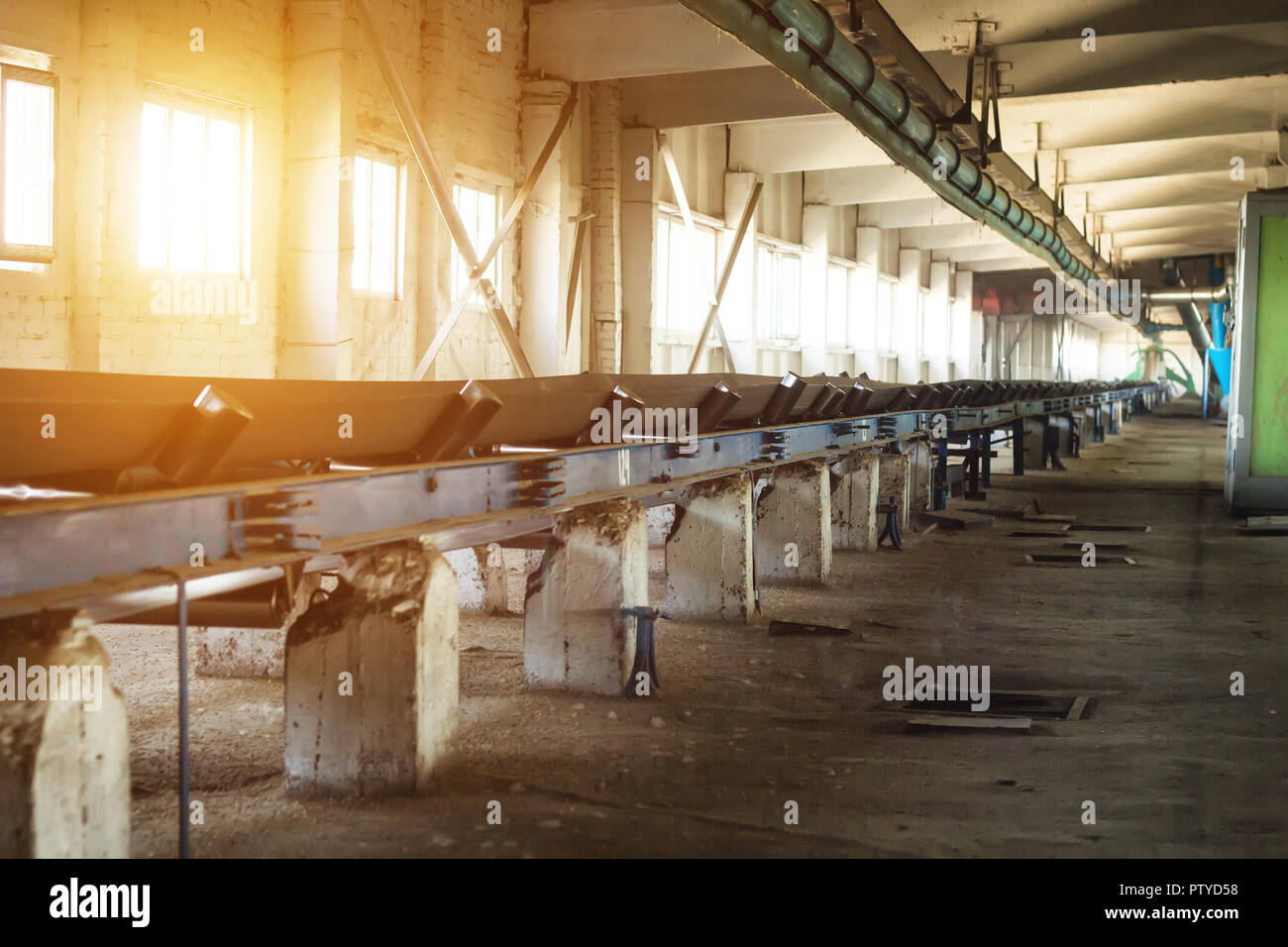 Plant for storage and processing of grain, grain moves along a conveyor ...