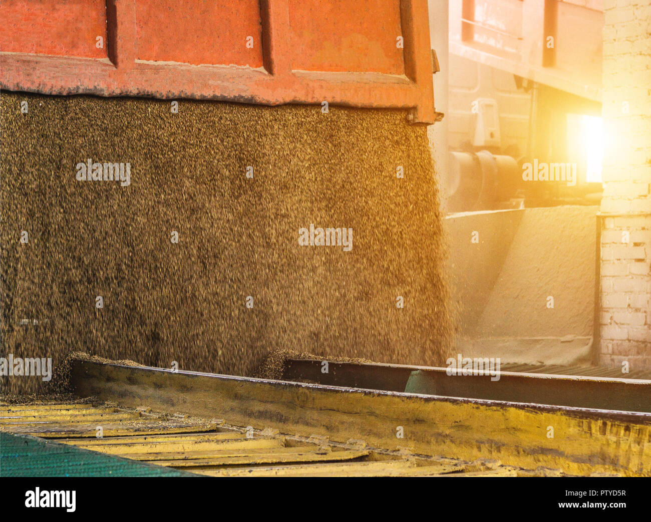 The truck unloads grain at the grain storage and processing plant, corn ...