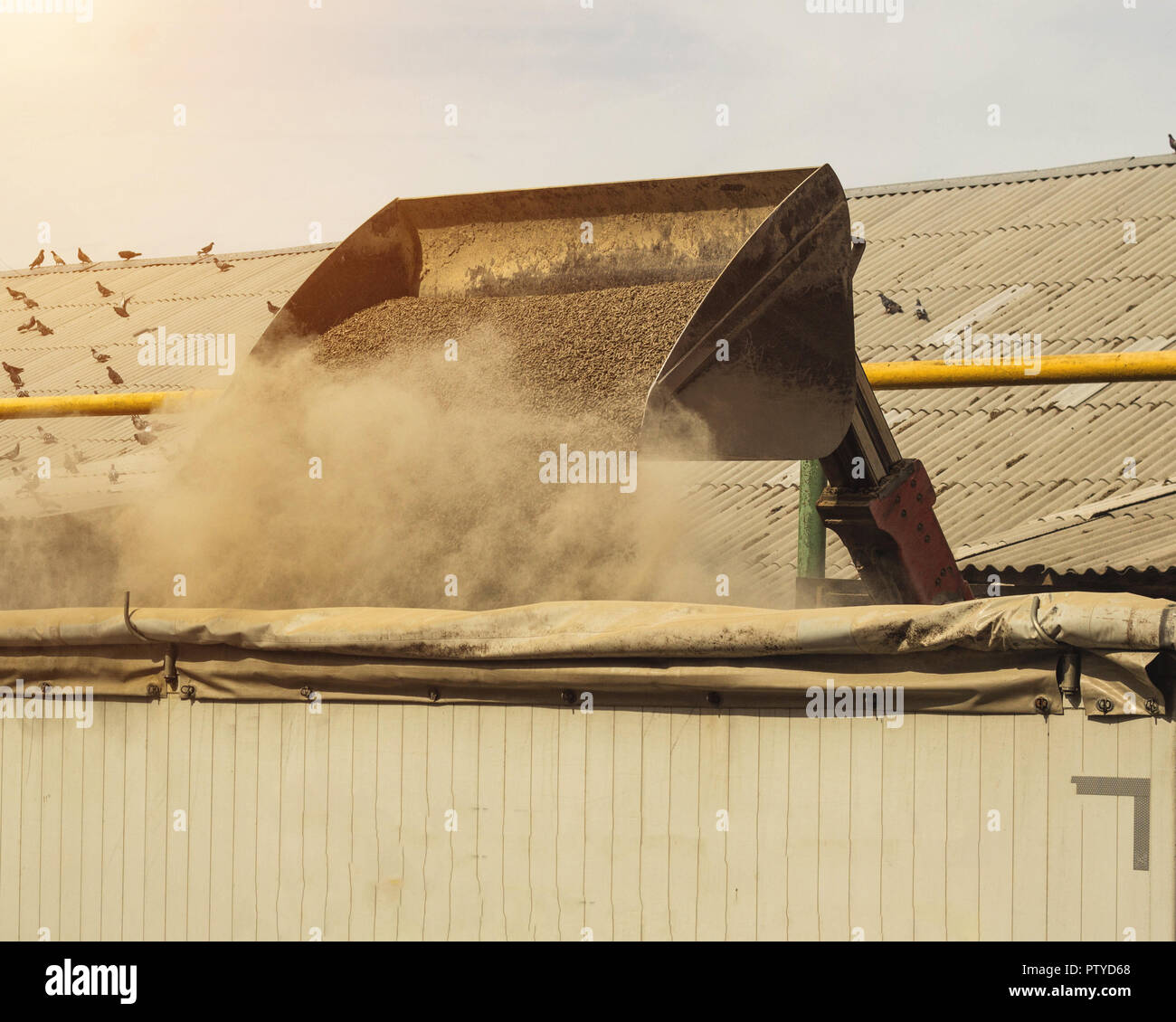 Tractor loader loads the truck with feed, animal feed, close-up, dipper ...