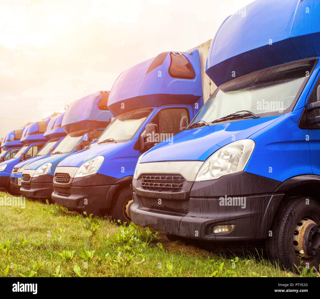 Blue cargo vans stand in a row, trucking and long-distance, trucking ...