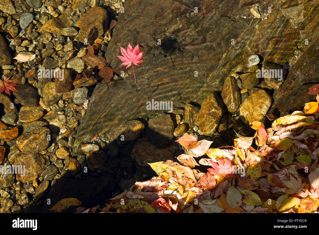Korea float hi-res stock photography and images - Alamy