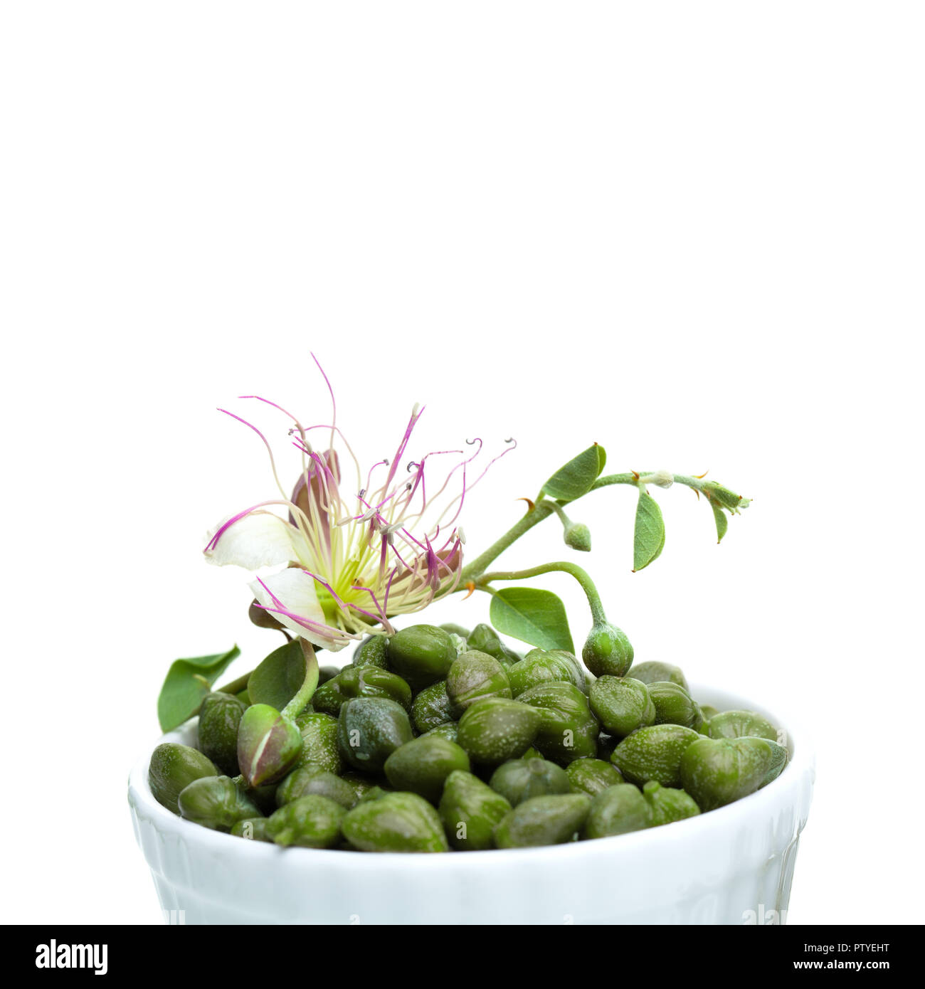 Caper white hi-res stock photography and images - Alamy