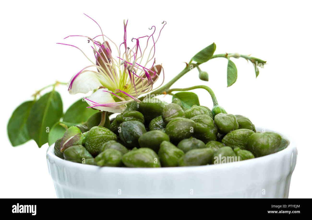 Capers in white bowl isolated on white. Caper with green leaves and ...