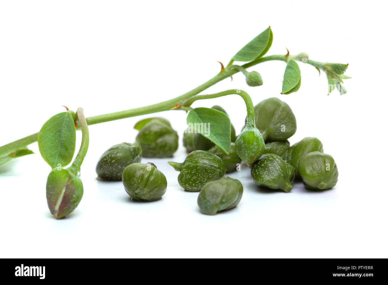 Caper bud hi-res stock photography and images - Alamy