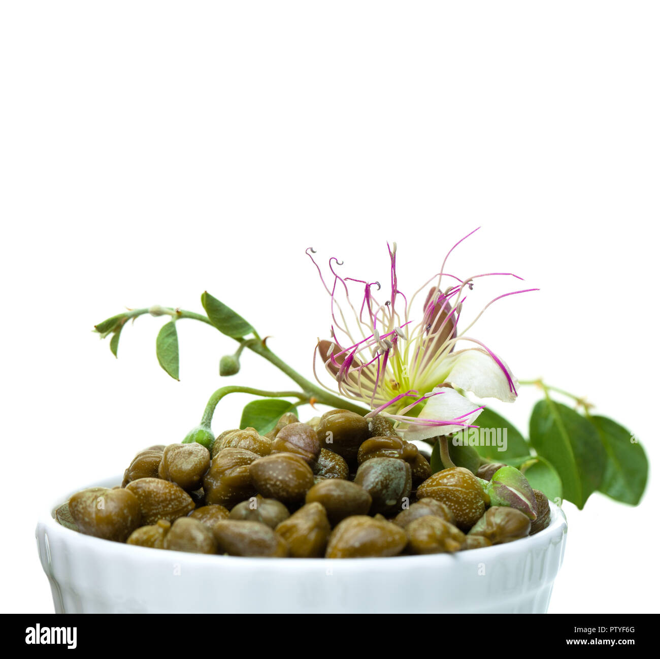 Capers isolated on white background Stock Photo - Alamy