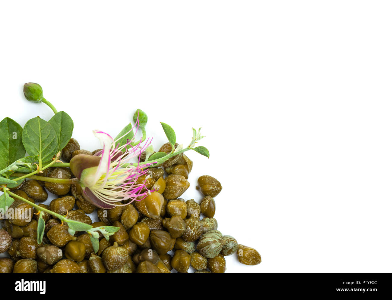 Capers with caper flower on white, organic food background Stock Photo ...