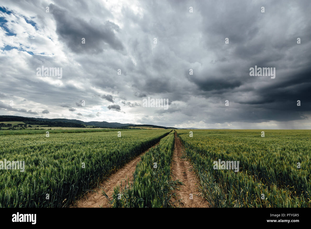 Raindrop in a field hi-res stock photography and images - Alamy