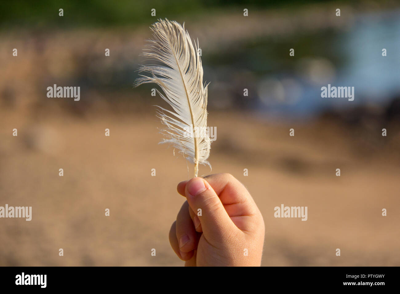 White Feather in Hand. Against the Background of a Sea Stock Photo - Alamy