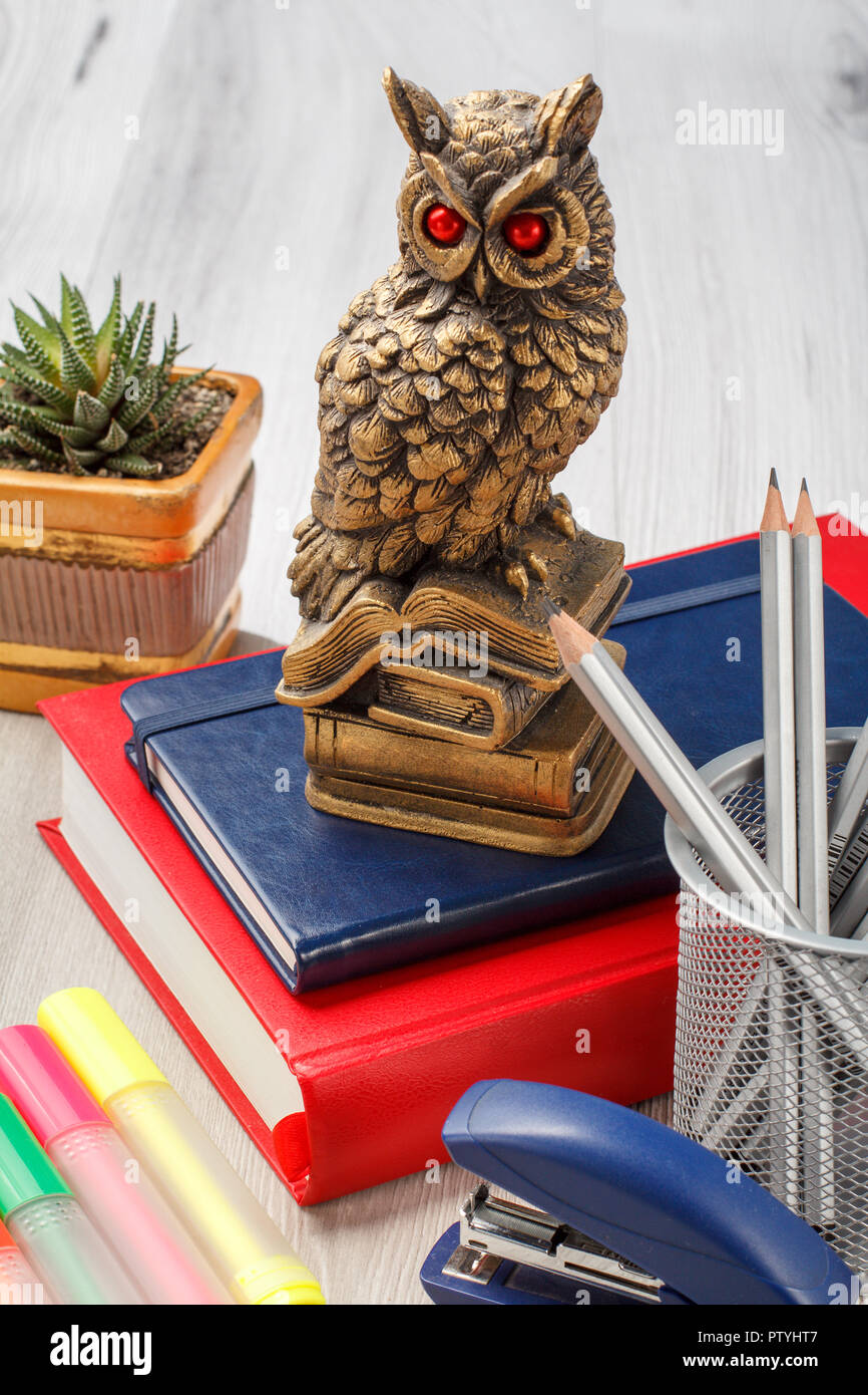 Books with statuette of owl on the top, metal stand with pencils ...