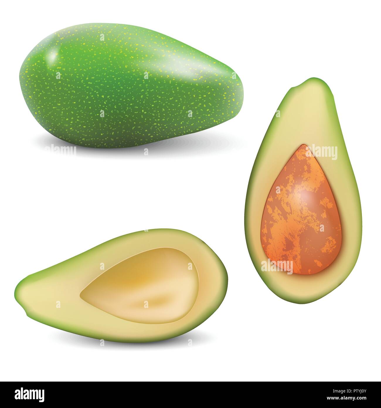 Stone fruit white background Stock Vector Images - Alamy