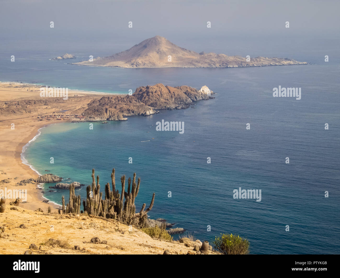 Pan de Azucar National Park, in the Atacama Desert is the best place to ...