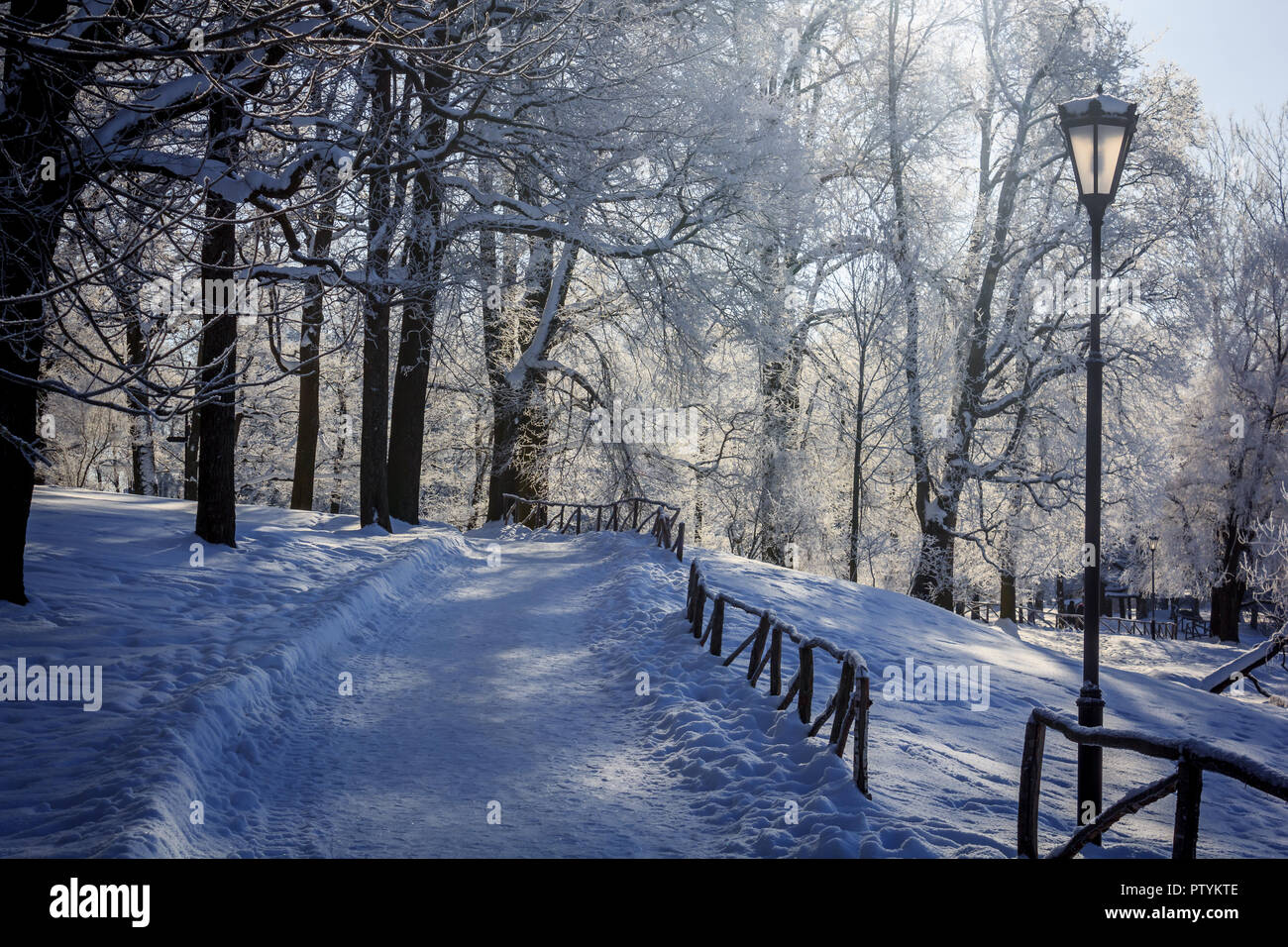 Morning winter frosty landscape in the park. Winter landscape. Severe ...
