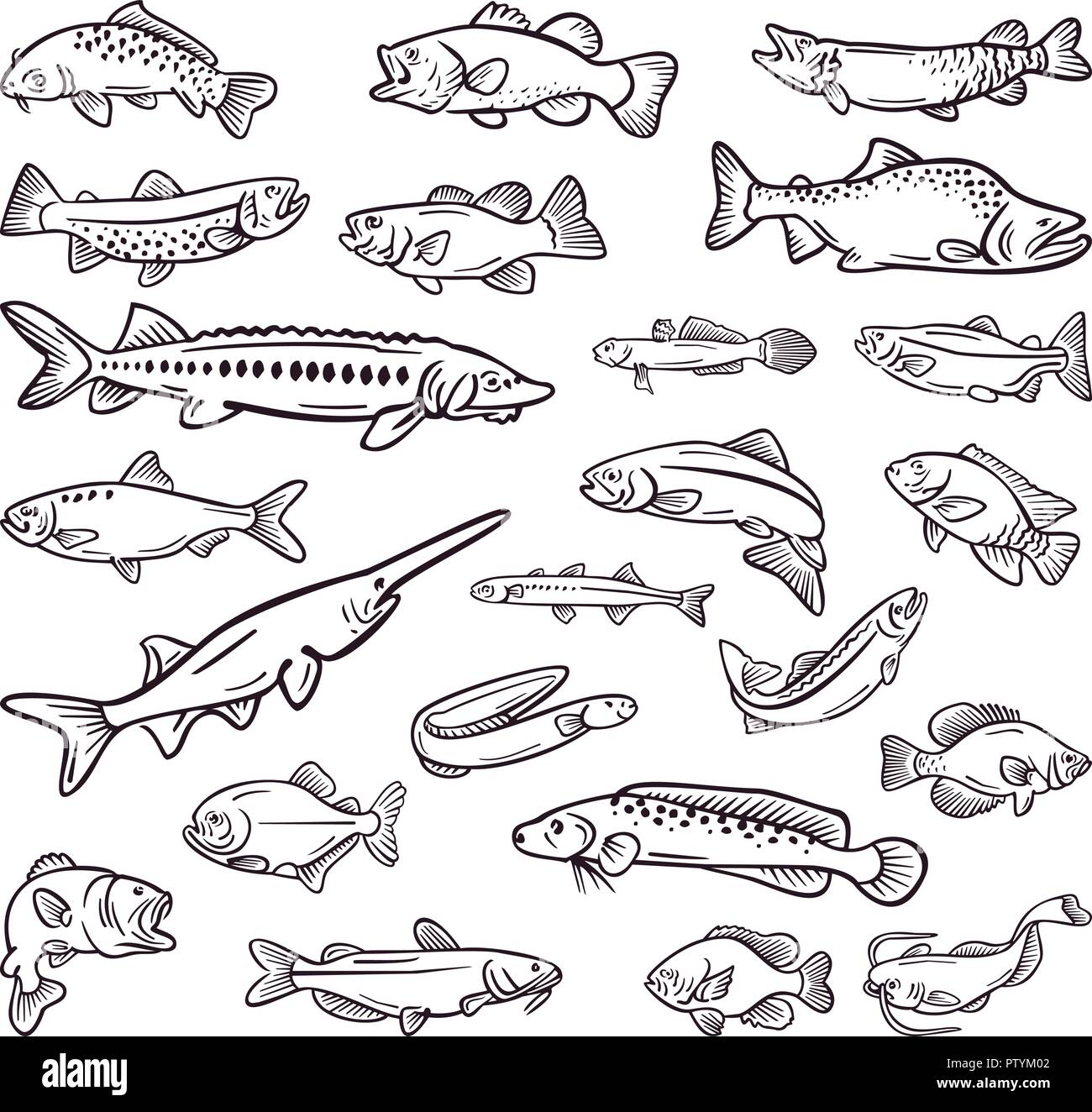Vector hand drawn seafood Stock Vector Images - Alamy