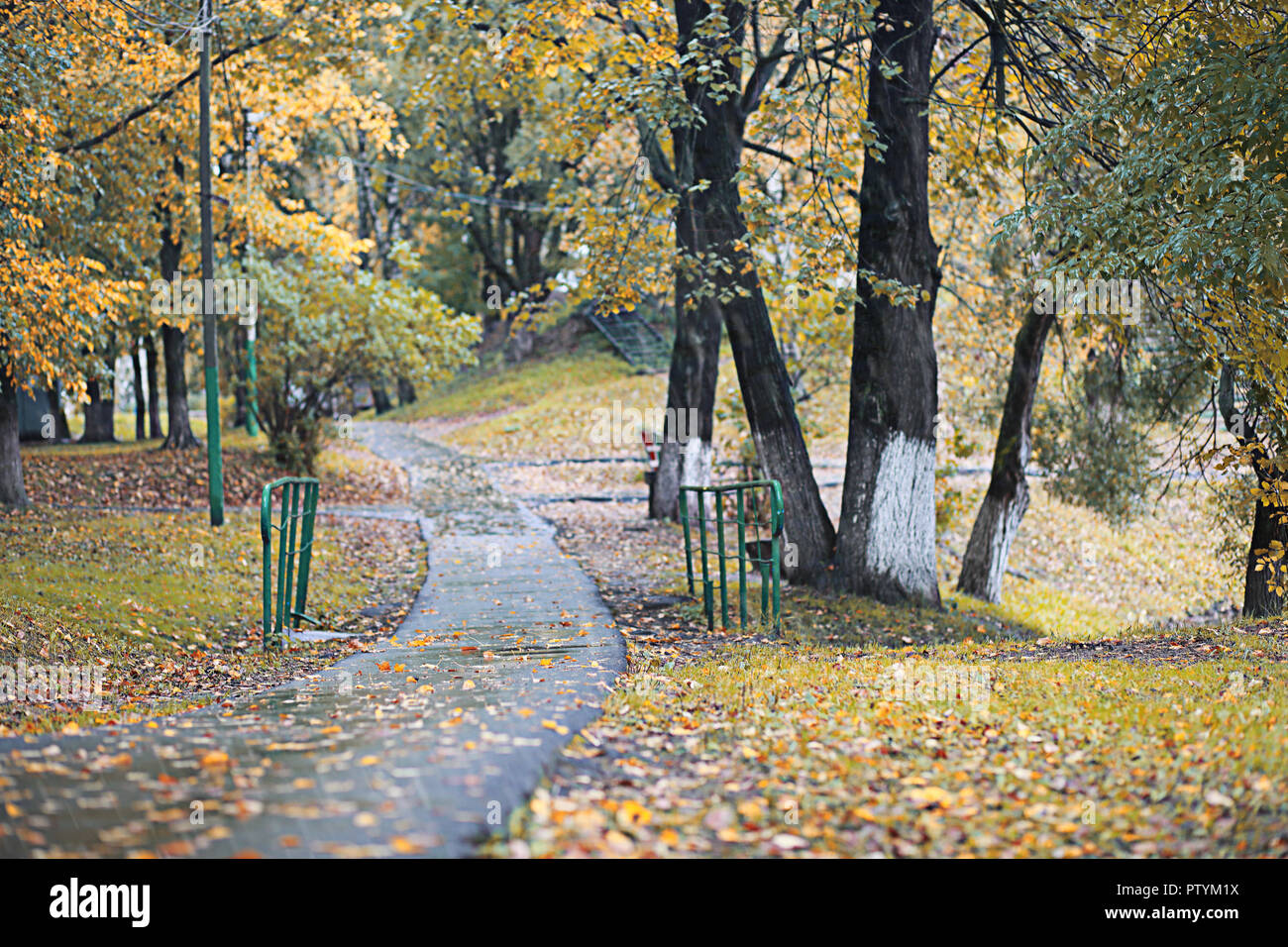 Autumn rain in the park during the day Stock Photo - Alamy
