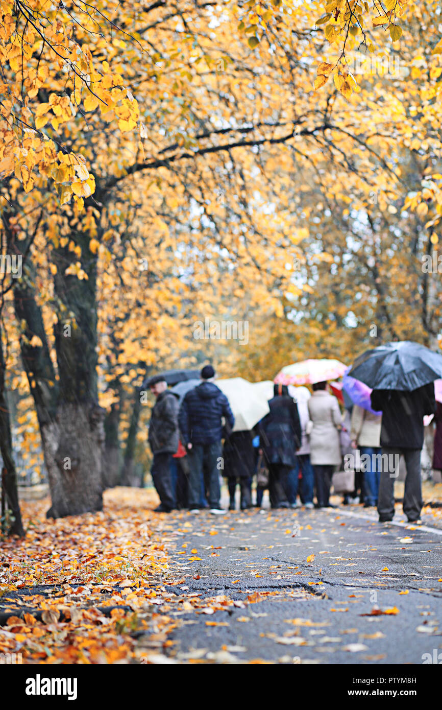 Autumn rain in the park during the day Stock Photo - Alamy