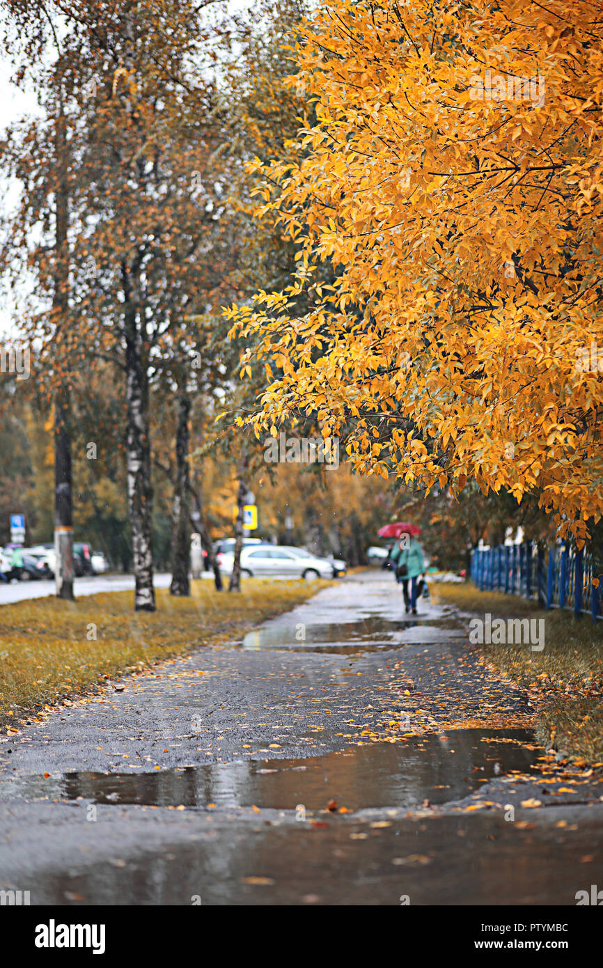 Autumn rain in the park during the day Stock Photo - Alamy