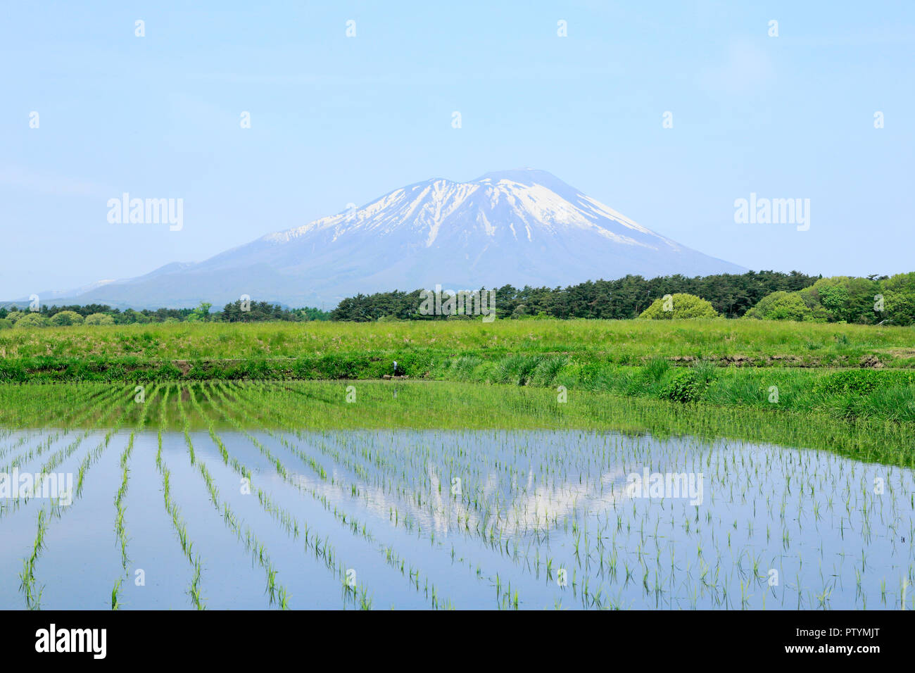 Mt. Iwate and paddy fields Stock Photo - Alamy
