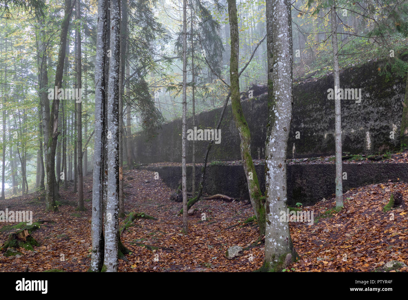 Berghof hitler hi-res stock photography and images - Alamy