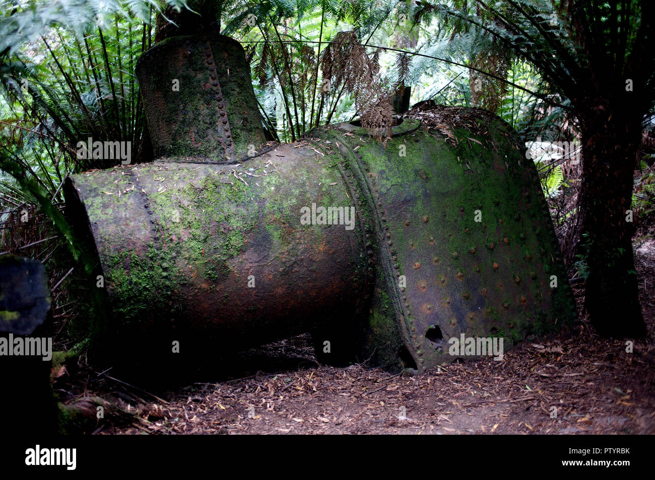 A steam engine lost in the forest of Great Otway National Park in ...
