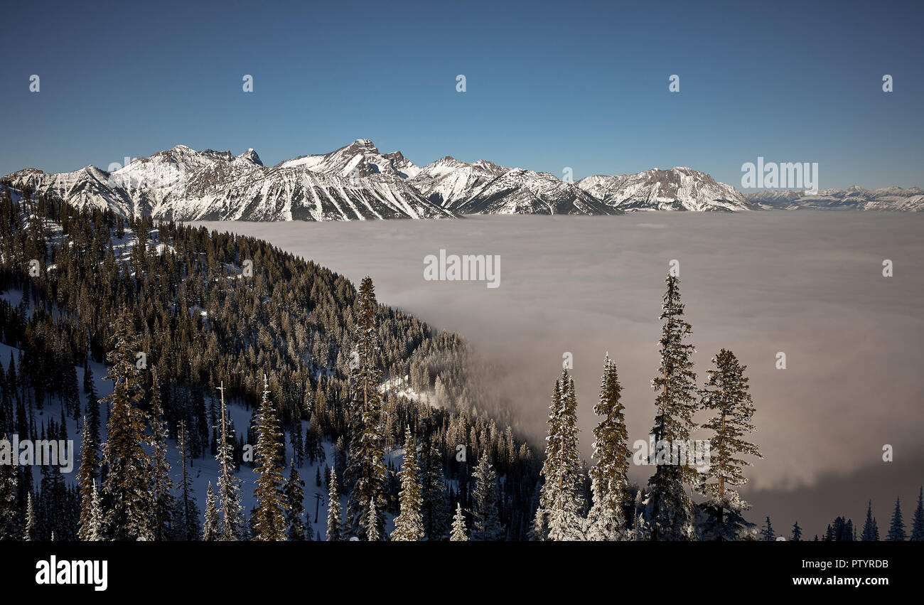 Shot from Fernie Alpine Resort facing north east with a view of Mount ...