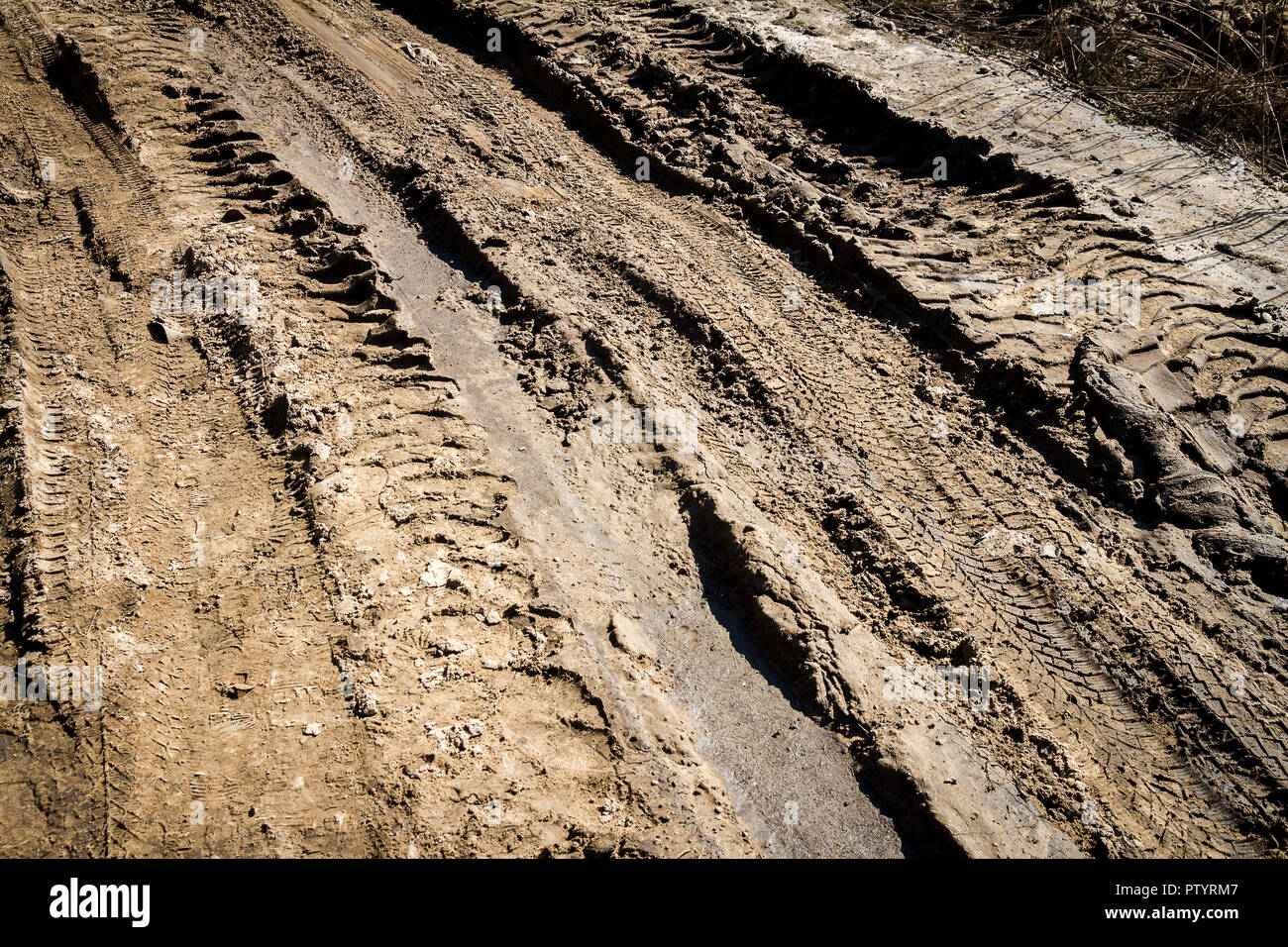 Deep car rut on a dirt road. Empty countryside dirt wet road Stock ...