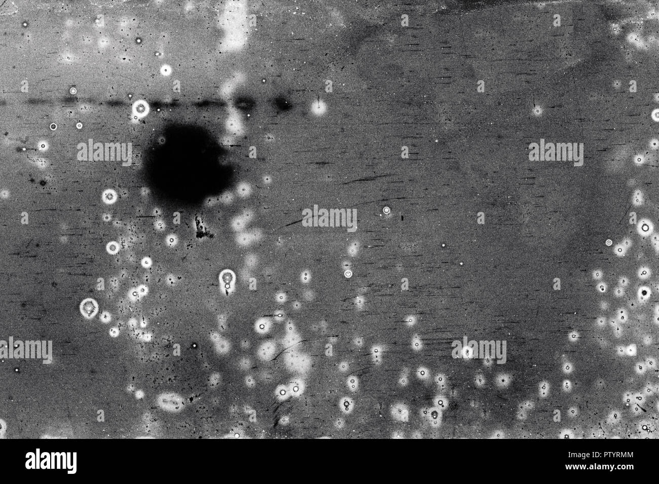 Black mold texture hi-res stock photography and images - Alamy