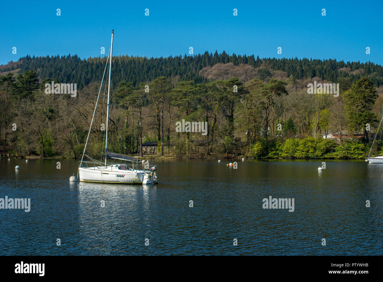 National Trust Fell Foot Park, Lake Windermere, South Lakeland, Lake ...