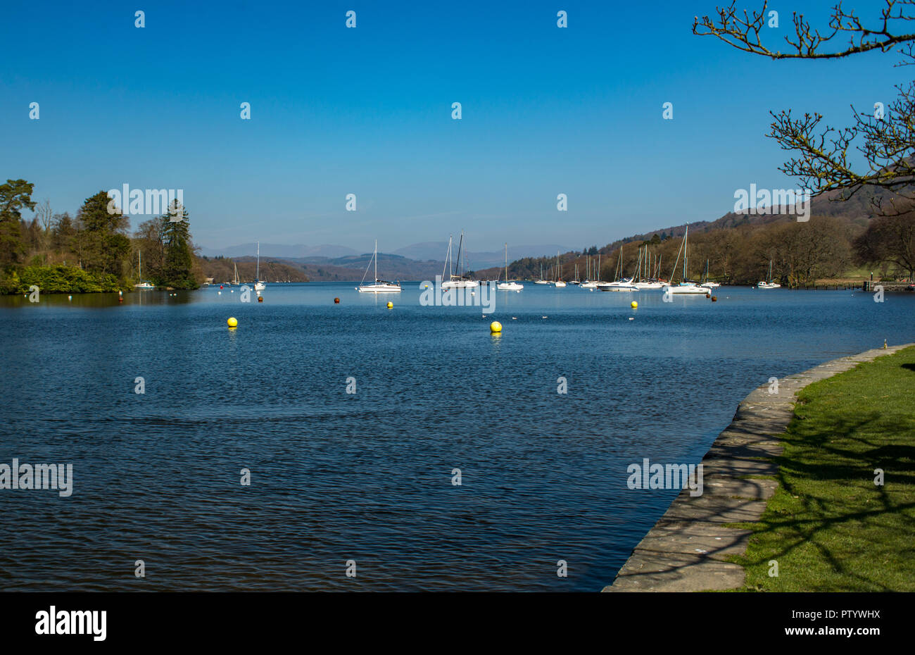 Tupis at National Trust Fell Foot Park, Lake Windermere, South Lakeland ...