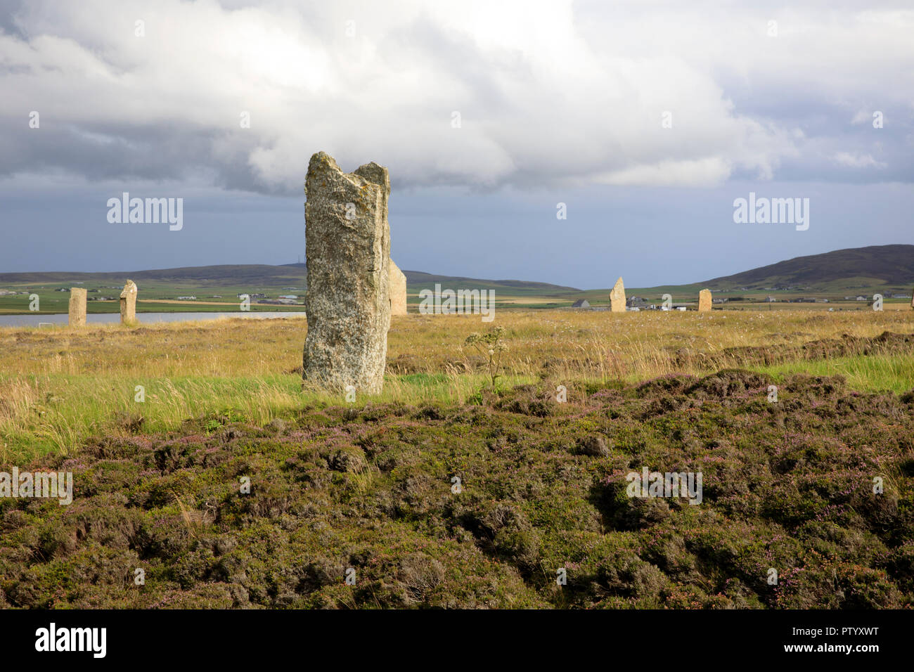 Ring of standing stones at Brodgar, Orkney, Scotland, Highlands, United ...